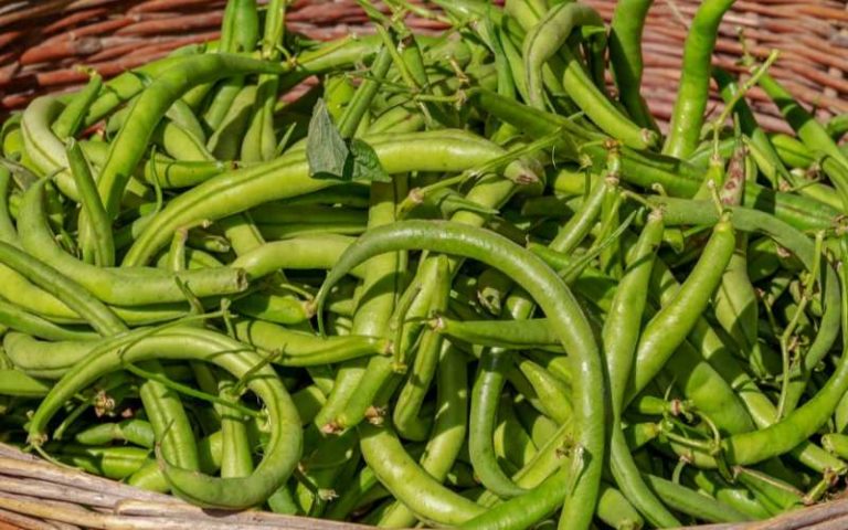 सब्जियों के नाम | Vegetables Name in Hindi - Easy Hindi Vyakaran